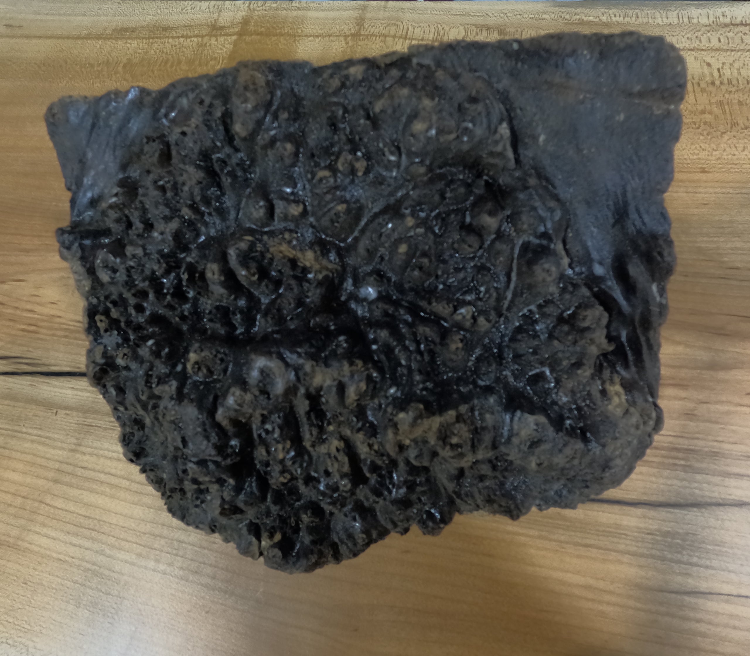 Canxan Burl | Knot Just Lumber