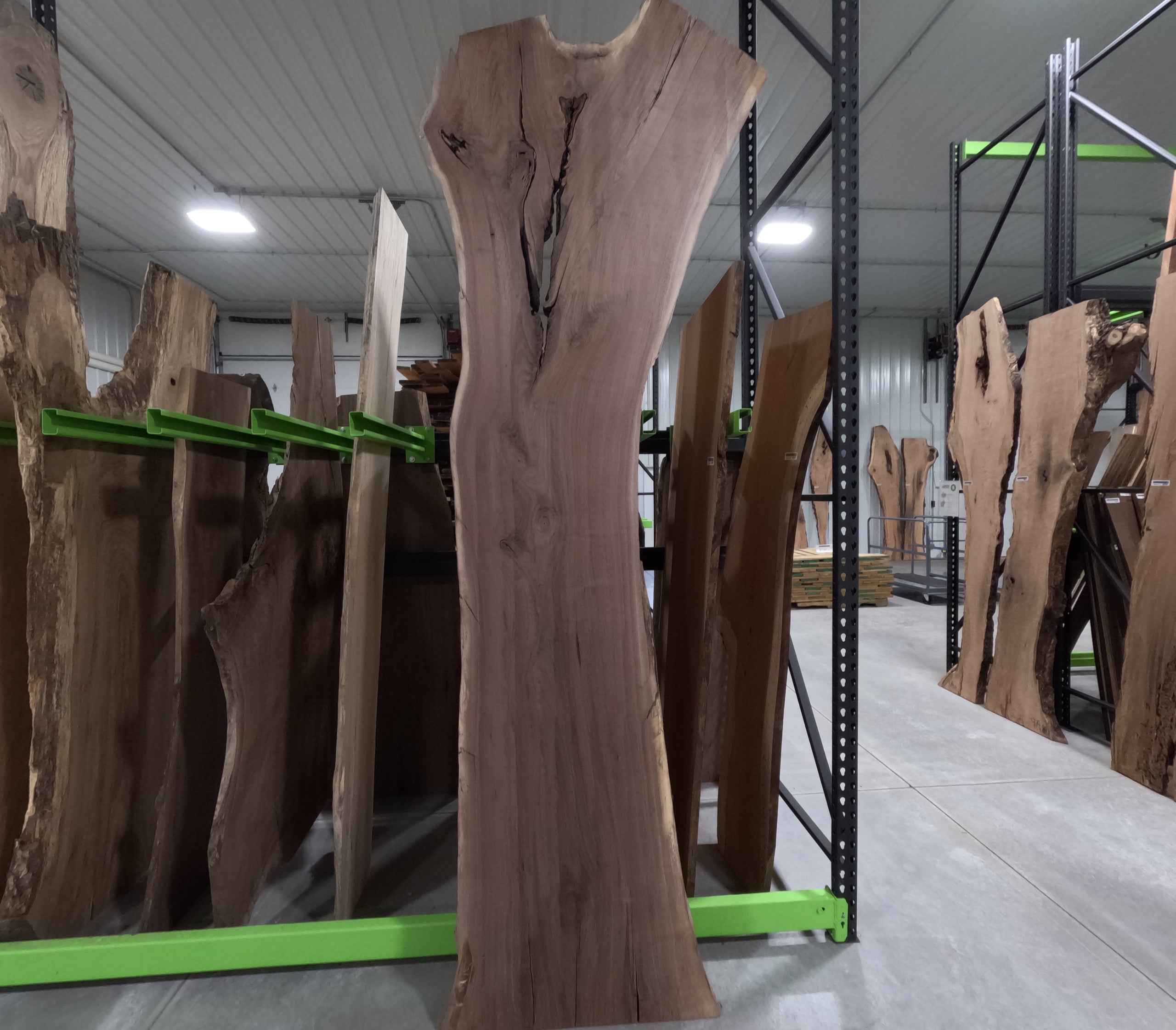 Walnut Slab 4B | Knot Just Lumber