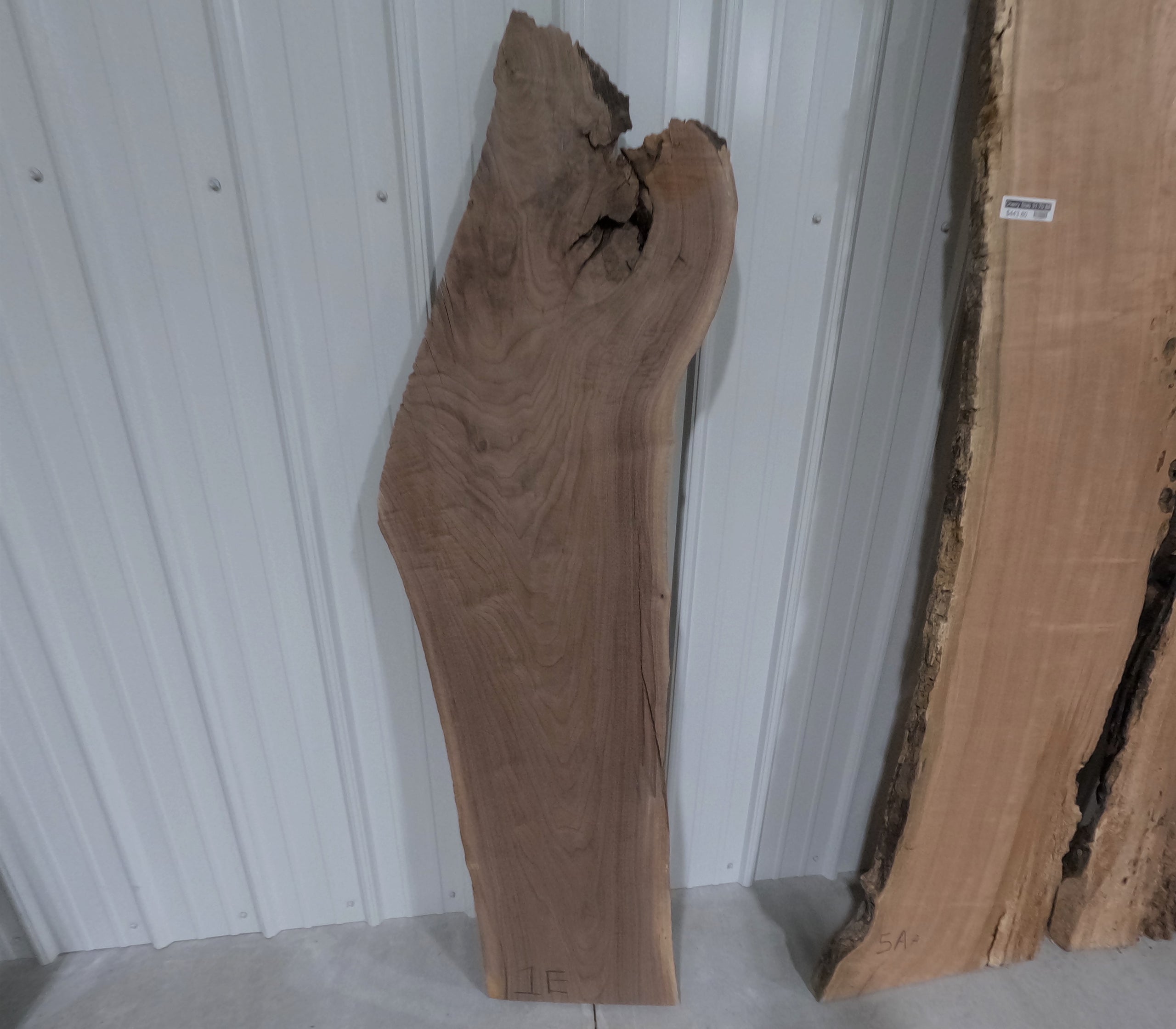 Walnut Slab 1E | Knot Just Lumber