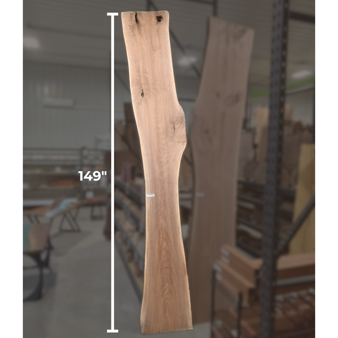 Walnut Slab W22 | Knot Just Lumber